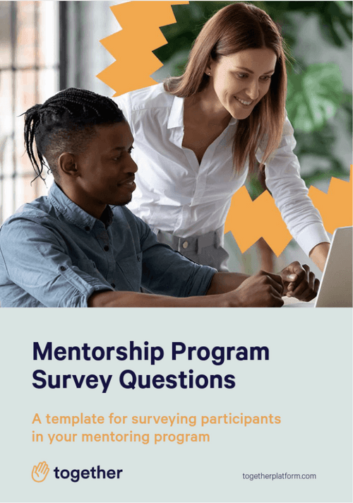 Mentorship Program Proposal Template | Together Software